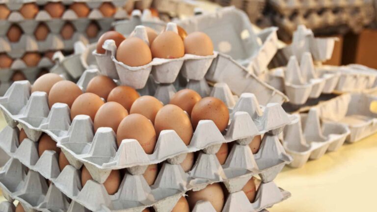 Meadow Feeds - More than just feed