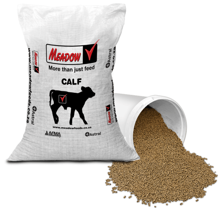 Complete Dairy Calf 16 - Meadow Feeds
