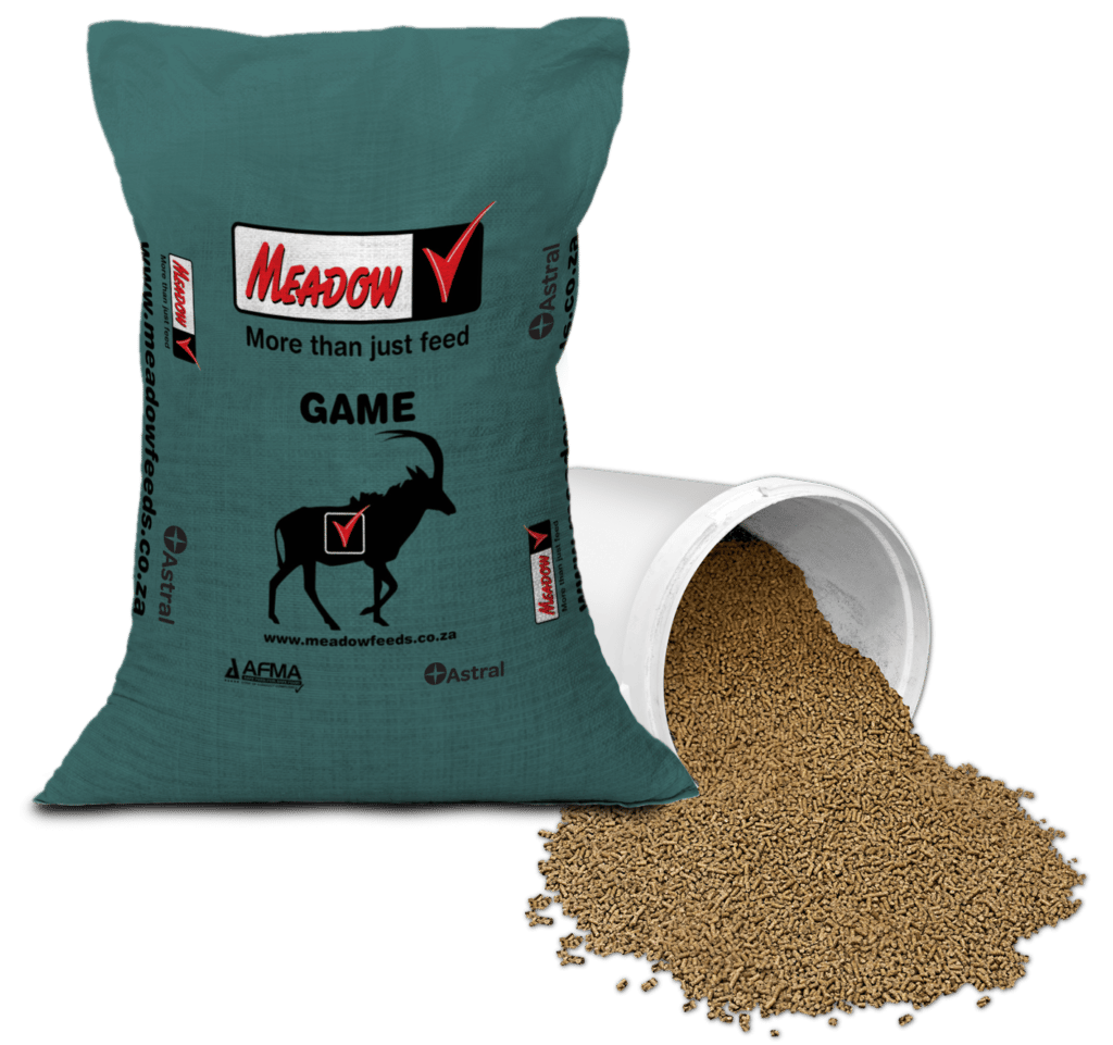 Pro-12 Game Feed - Meadow Feeds