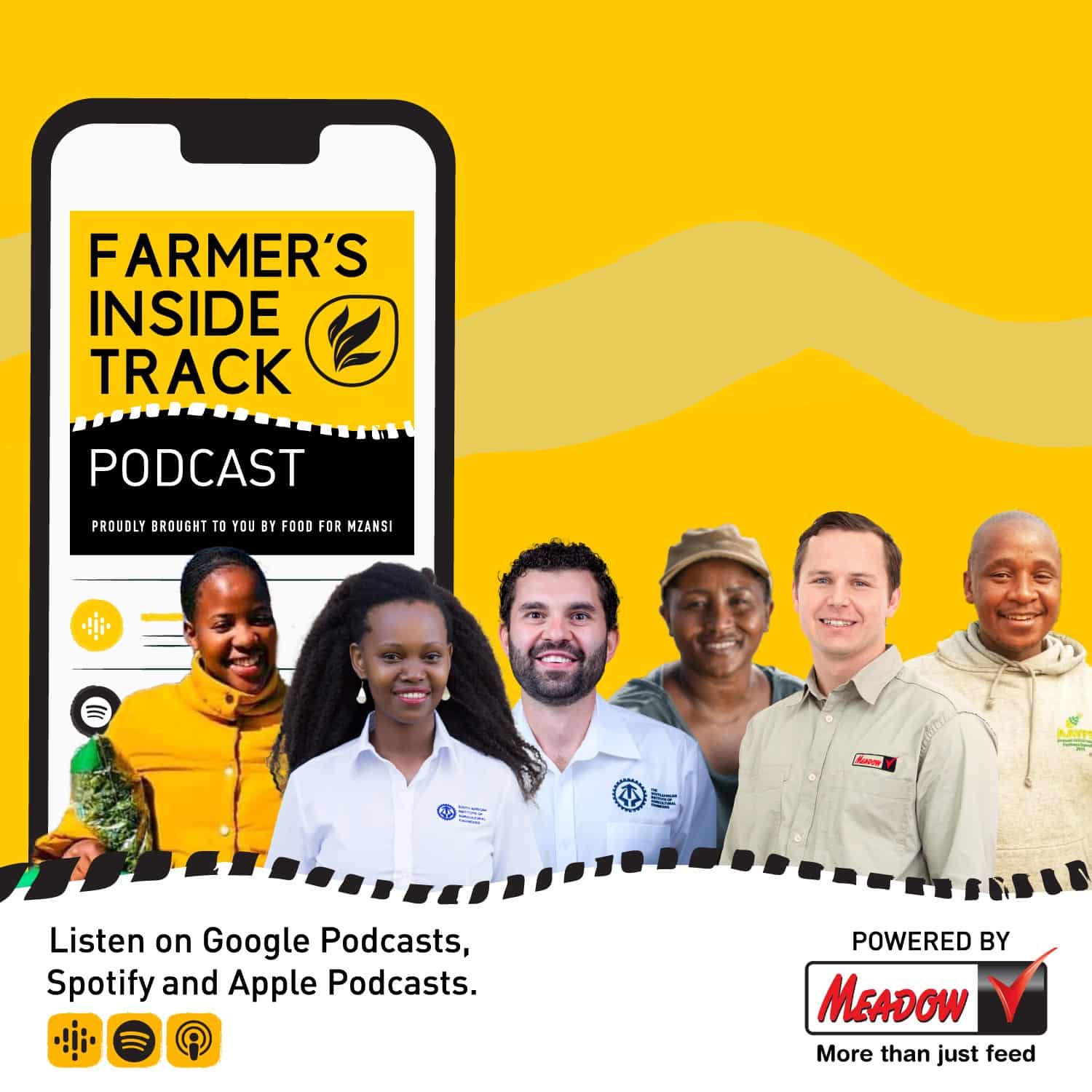 Formulate the right ration for dairy cows’ diets - Meadow Feeds