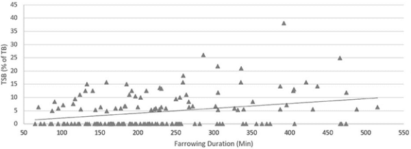 Practical management of the sow around the farrow process - Meadow Feeds