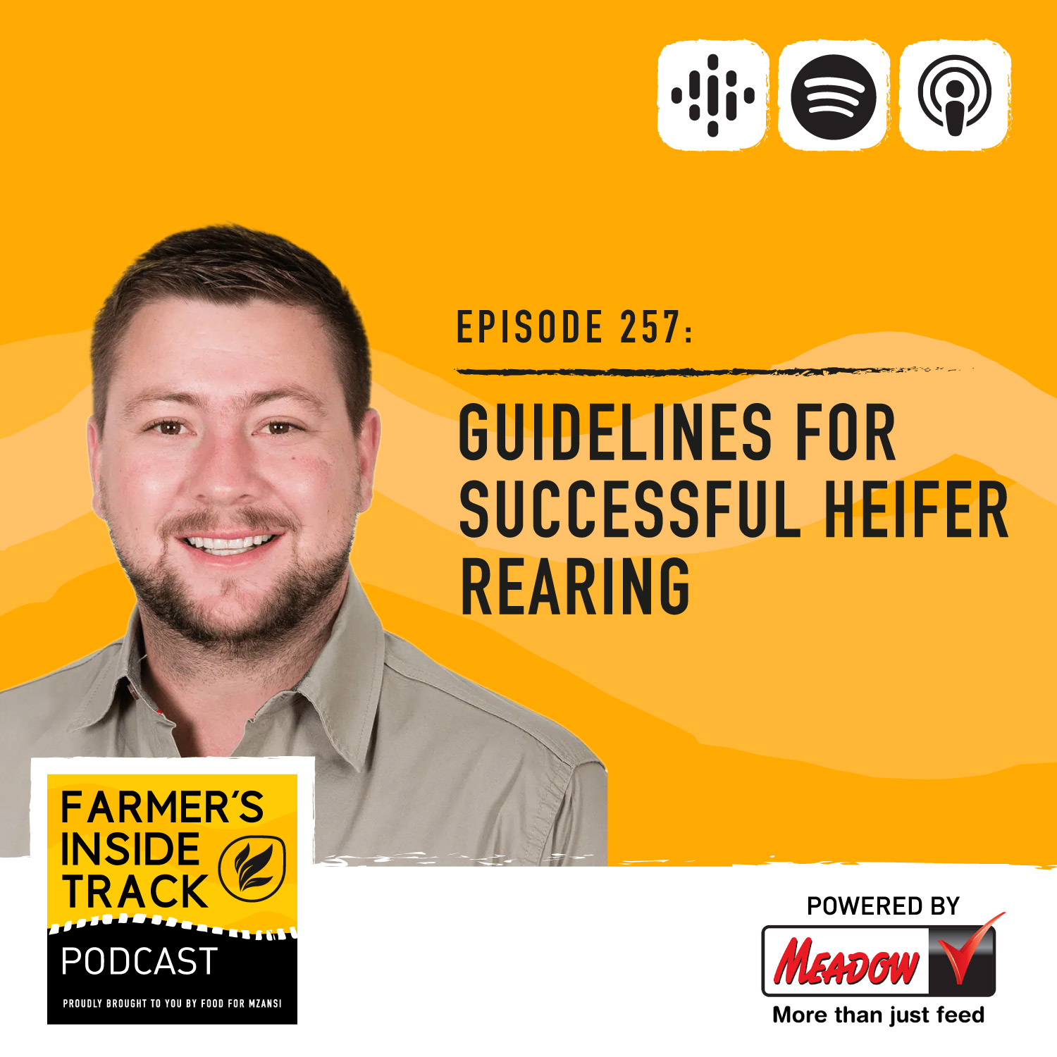 Meadow Feeds - More than just feed