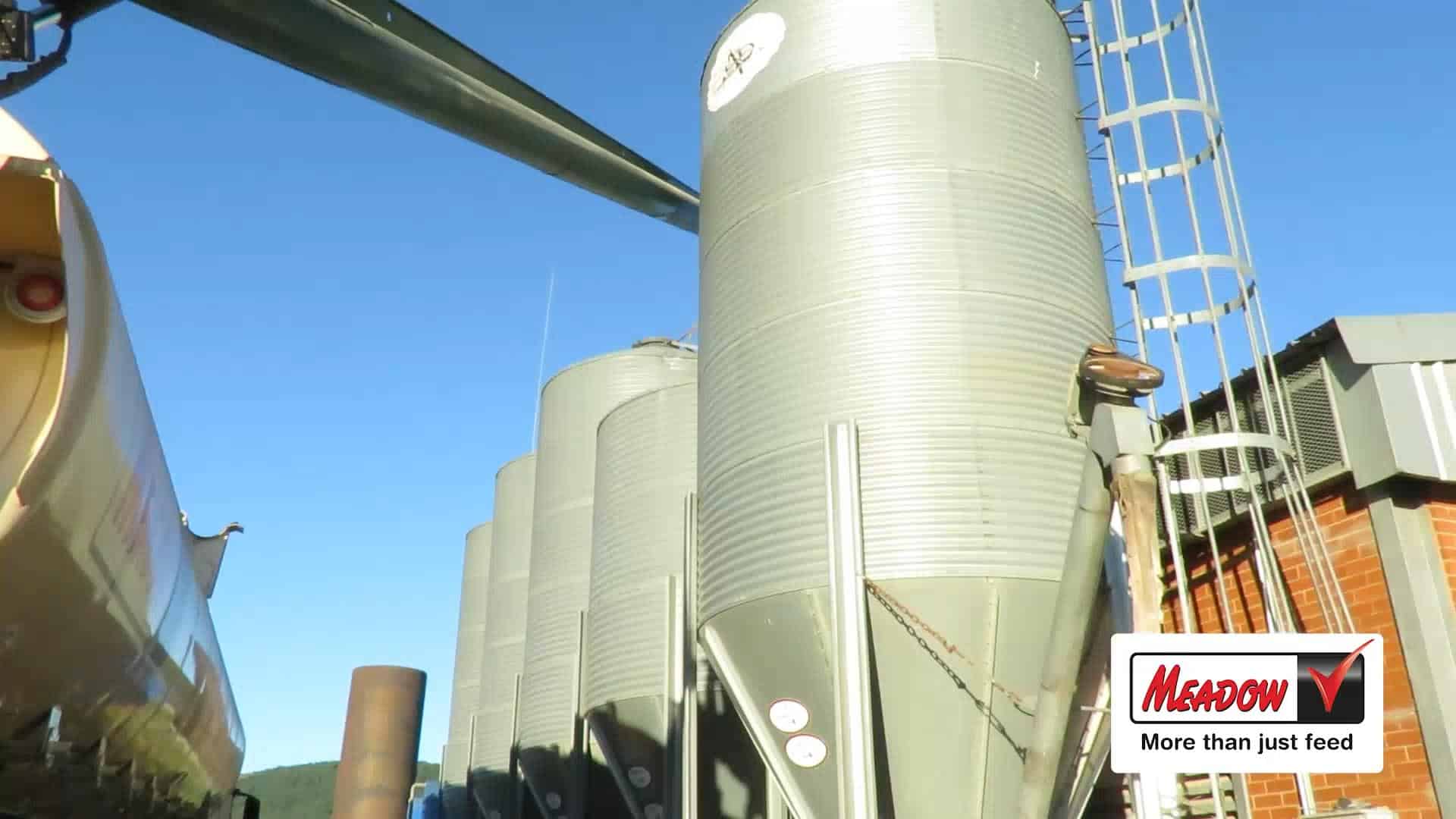 Meadow Feeds - More than just feed